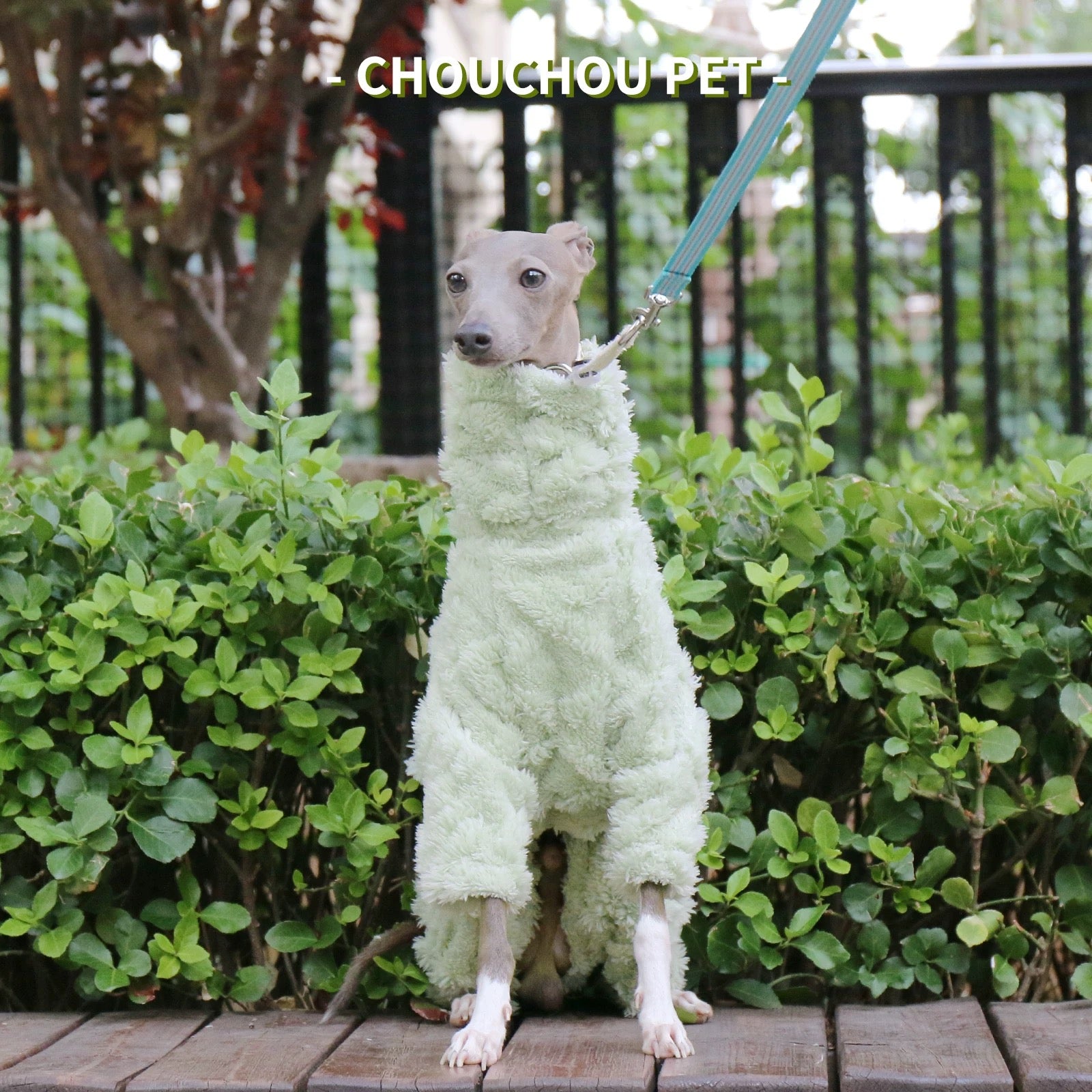 Matcha Green Cozy Fleece Suit – Pawelier
