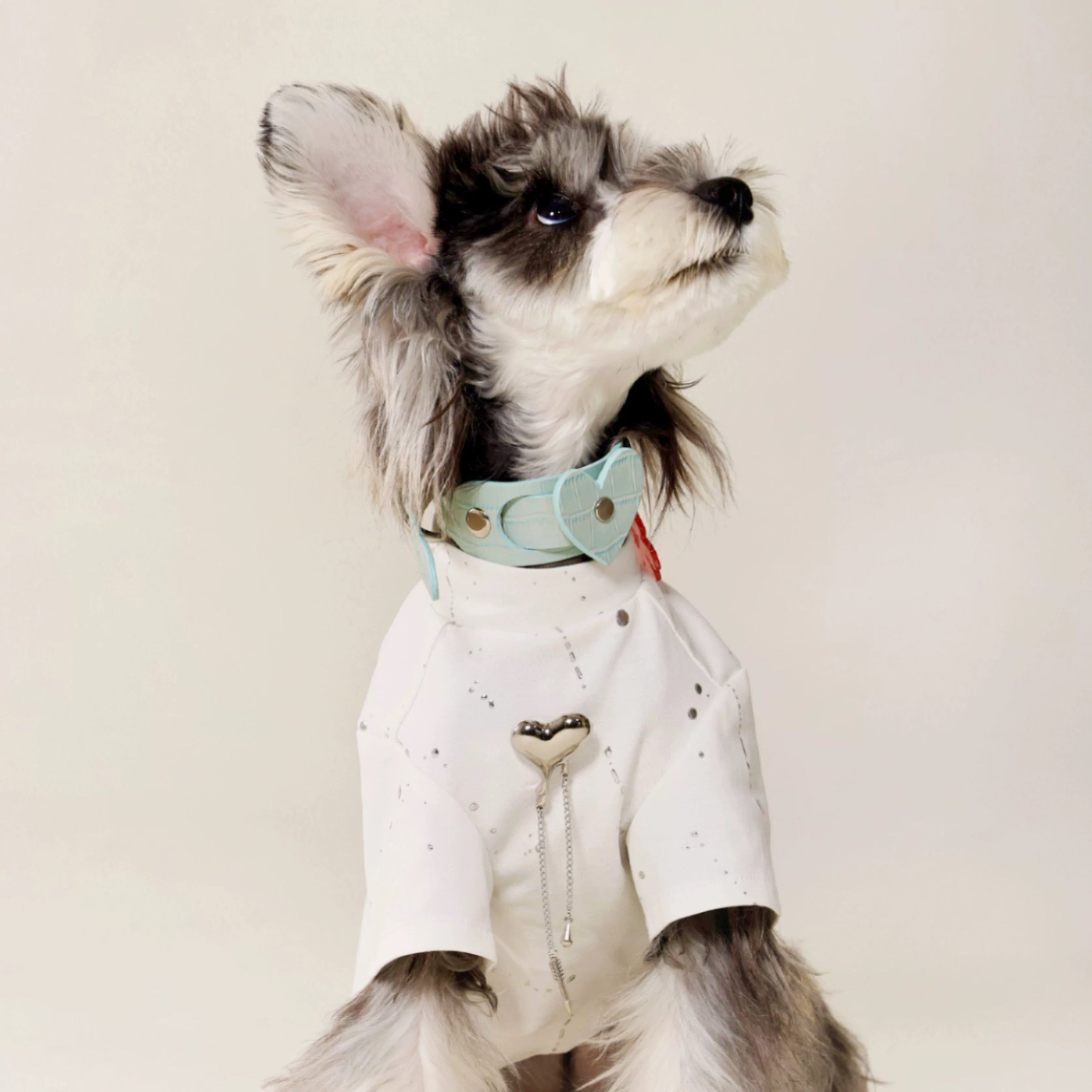 Mokamoka Pet T-Shirt for Small Dogs and Cats – Pawelier