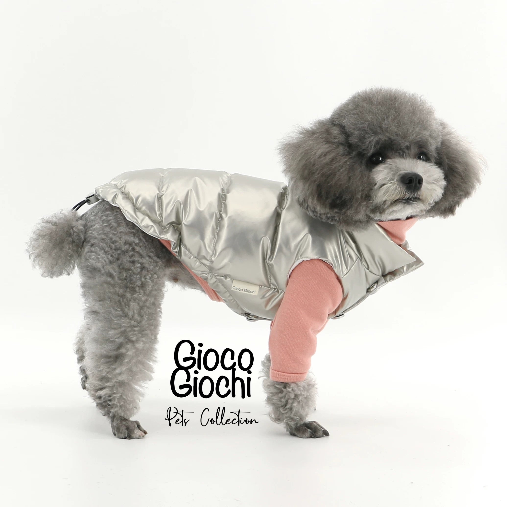 Aerospace Waterproof Puffer – Pawelier